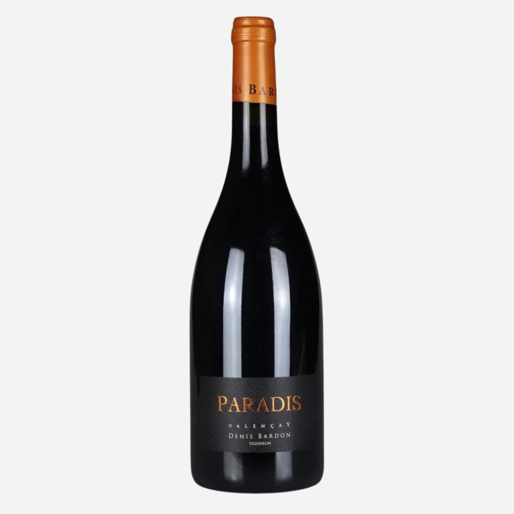 Valençay: Domaine Bardon Paradis Red 2022 - Hourlier Wines – Pierre ...